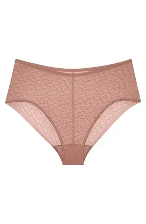 TRIUMPH Signature Sheer Brief Panties - Toasted Almond