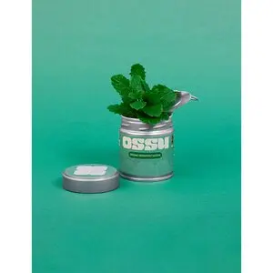 OSSU Peppermint Matcha Tin 40g