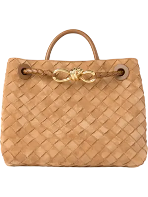 BOTTEGA VENETA Bottega Veneta Andiamo Small Intrecciato Suede Tote