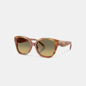COACH Square Sunglasses - Bark