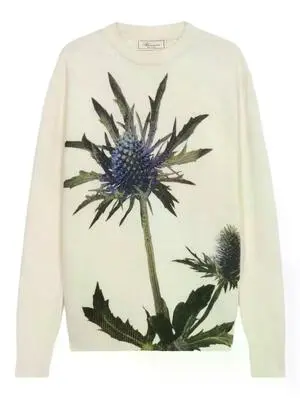 Blumarine Floral-motif Crew-neck Sweater - White