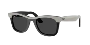 Ray-ban Ray-Ban Wayfarer Sunglasses Polarized Black