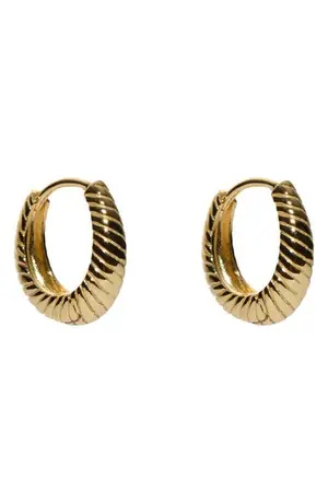 Argento Vivo Ribbed Hoop Earrings - Gold