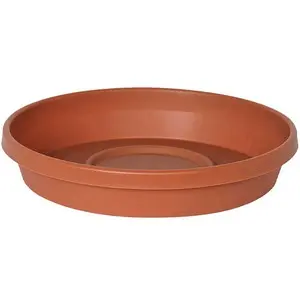 BLOEM Terra 14.75 Inch Resin Saucer - Brown