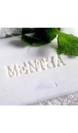 C.O. BIGELOW Mentha Exfoliating Bar Soap