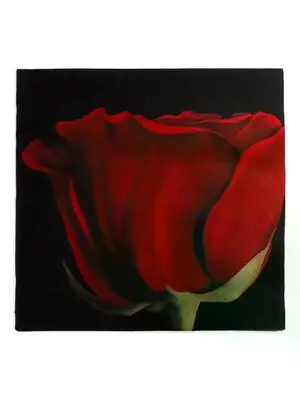 OSKLEN Silk Scarf - Black