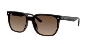 Ray-ban Ray-Ban Unisex Sunglasses Brown Gradient