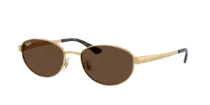 Ray-ban Sunglasses - Dark Brown