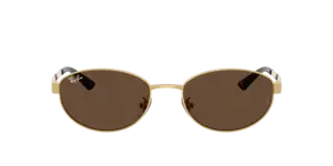 Ray-ban Sunglasses - Dark Brown