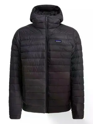 Patagonia Hooded Down Jacket