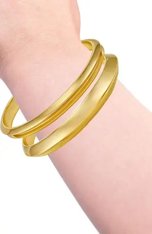 Vince Camuto Bangle Bracelet Set