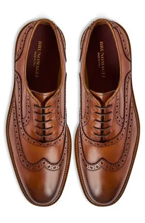 Bruno Magli Alfonso Wingtip Oxford - Cognac
