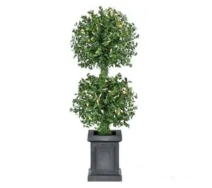 FRASER HILL FARM 3-ft. Boxwood 2-ball Topiary With Pot - One-color