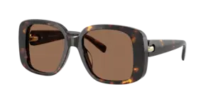 Tory Burch Sunglasses Brown