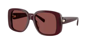 Tory Burch Sunglasses Wine