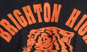 ELWOOD Vintage Brighton Bengals Tee