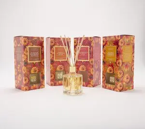 HOMEWORX BY SLATKIN + CO. S/4 Pumpkin Spice Reed Diffusers - One-color