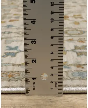 ORIENTAL WEAVERS Maeve Mae01 Area Rug, 3'3x5