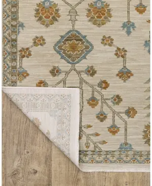 ORIENTAL WEAVERS Maeve Mae07 Area Rug, 7'10x10'10