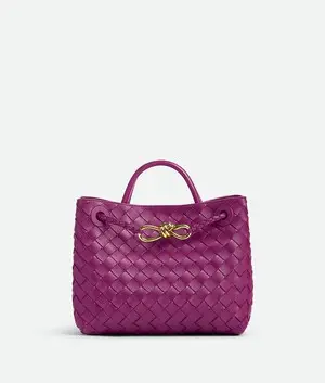 Bottega Veneta Small Intrecciato Andiamo Bag - Beetroot