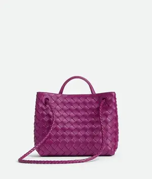 Bottega Veneta Small Intrecciato Andiamo Bag - Beetroot
