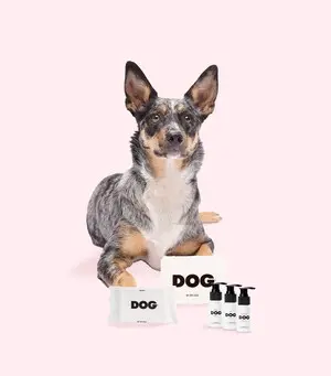 DOG Grooming Product Minis Set