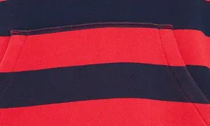 CULT OF INDIVIDUALITY Striped Graphic Hoodie - Rouge Red/midnight/blue