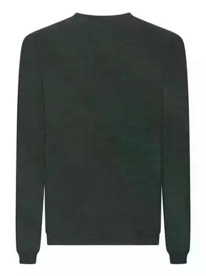 GOES BOTANICAL Long-sleeve Sweater - Green