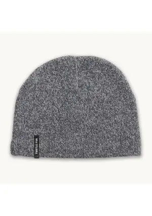 Turtle Fur N.e. Wool Beanie Gray