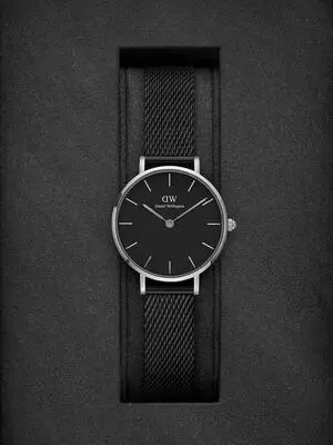 DANIEL WELLINGTON Classic Petit 28mm Watch