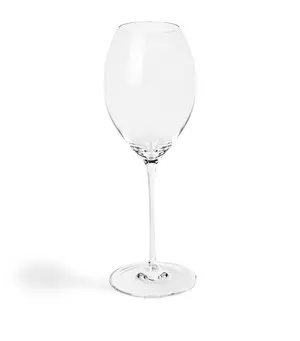 RICHARD BRENDON Champagne Glasses - Clear