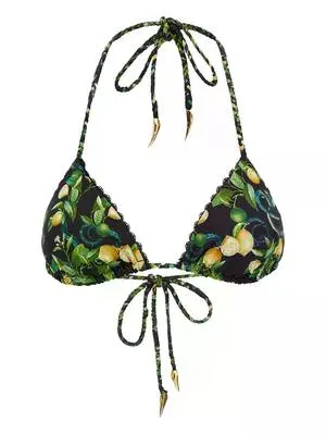 Roberto Cavalli Lemon-print Triangle Bikini Top - Black