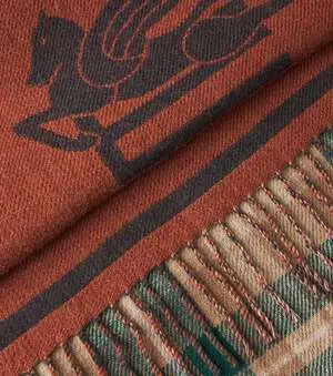 Etro Boyd Wool Throw