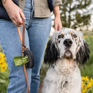 P.L.A.Y. Proper Pup Bag Dispenser