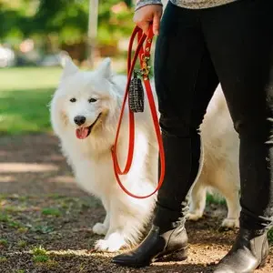 P.L.A.Y. Proper Pup Poop Bag Dispenser