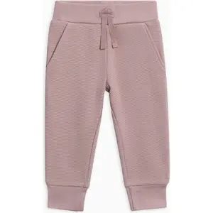 KENDI Nelson Waffle Knit Jogger - Purple
