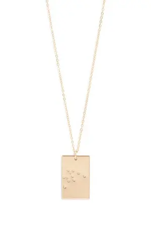 SET & STONES Zodiac Constellation Pendant Necklace - Gold/aquarius