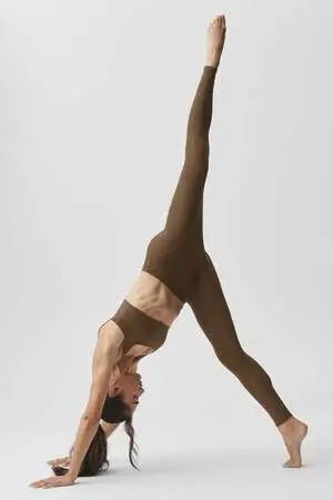 Alo Yoga Softsculpt High-waist Leggings - Java Brown