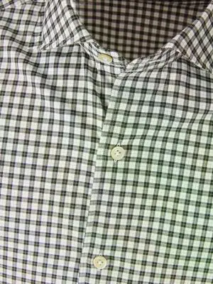 LUIGI BORRELLI Checked Classic Collar Shirt