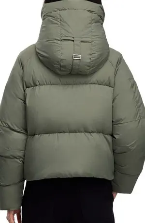 Canada Goose Chilliwack 750 Fill Power Down Puffer Jacket - Sagebrush