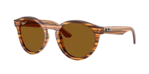 Ray-ban Reverse Sunglasses - Dark Brown Polarized