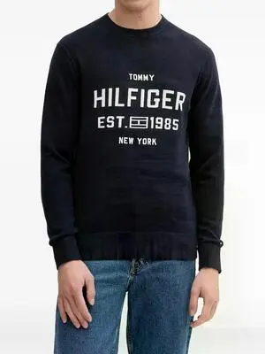 Tommy Hilfiger Crewneck Sweatshirts Hoodies For Men