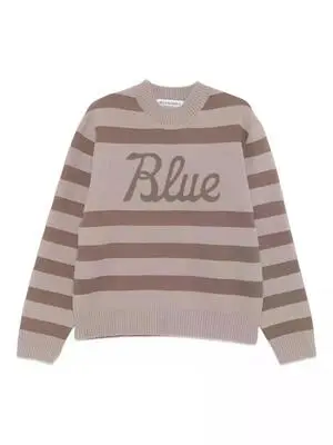 Bluemarble Long Sleeve Sweaters For Men