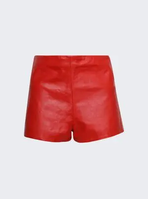 Red Leather