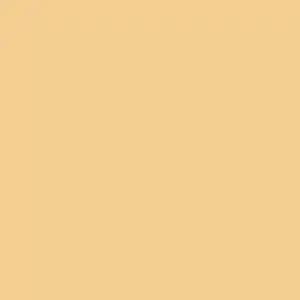 ASTRID & MIYU Opal Charm Necklace - Gold