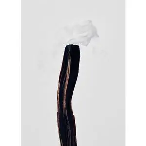 Loewe Medium Palo Santo Candle, 20.7 Oz