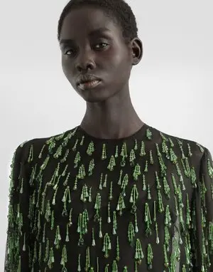 Dolce & Gabbana Short Flared Organza Dress With Embroidery