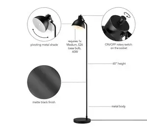 GLOBE ELECTRIC 60' Matte Black Floor Lamp