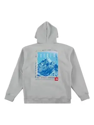 The North Face Mount Everest Graphic Hoodie - Grey