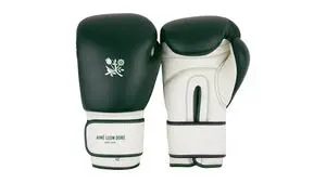 Aimé Leon Dore Crest Boxing Gloves - Green/cream